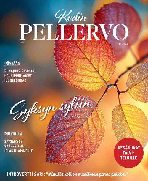 Näköislehdet - Kodin Pellervo