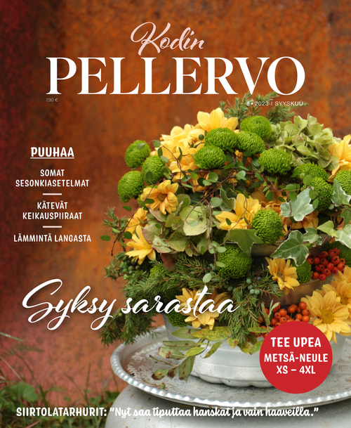 Näköislehdet - Kodin Pellervo