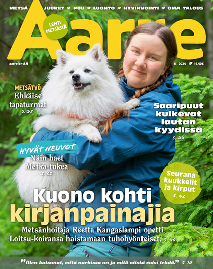 Näköislehti - Aarre