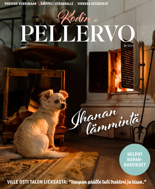 Näköislehdet - Kodin Pellervo